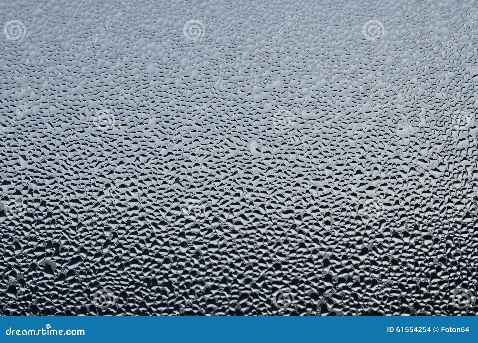Condensed Water Drops on Glass. Abstract Natural Pattern Bacckground ...