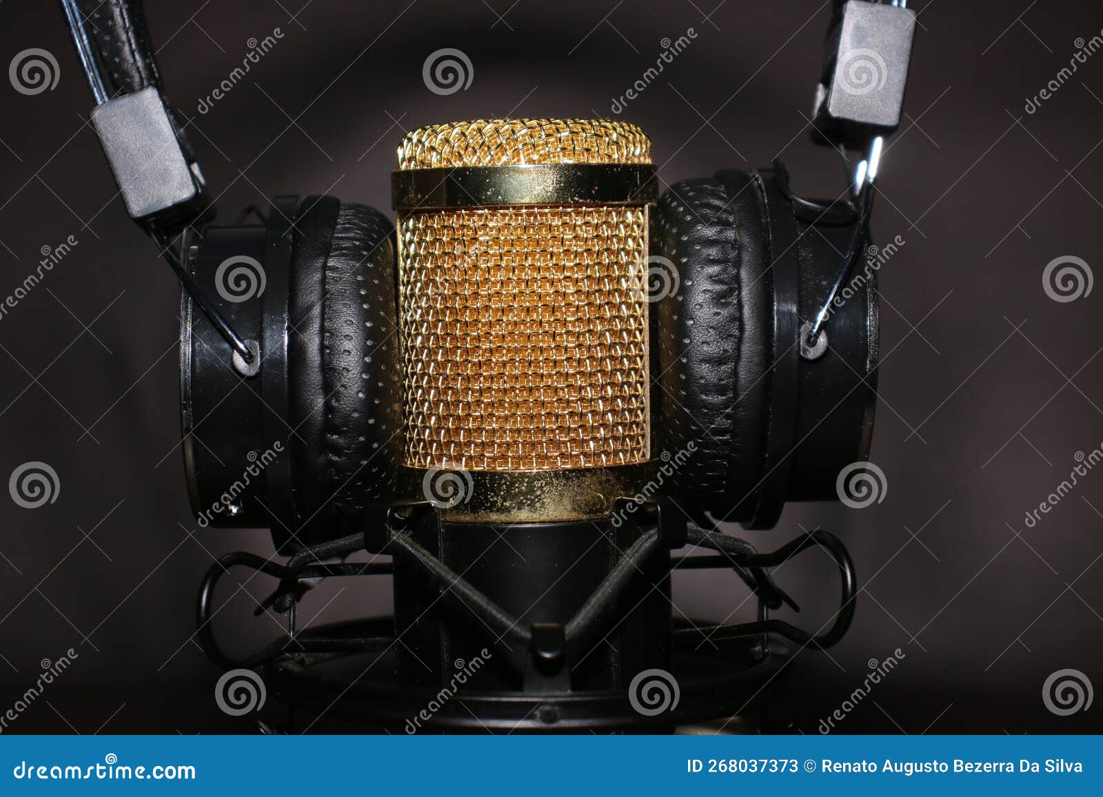Condenser Microphone with Gold Accents Stock Image - Image of ...