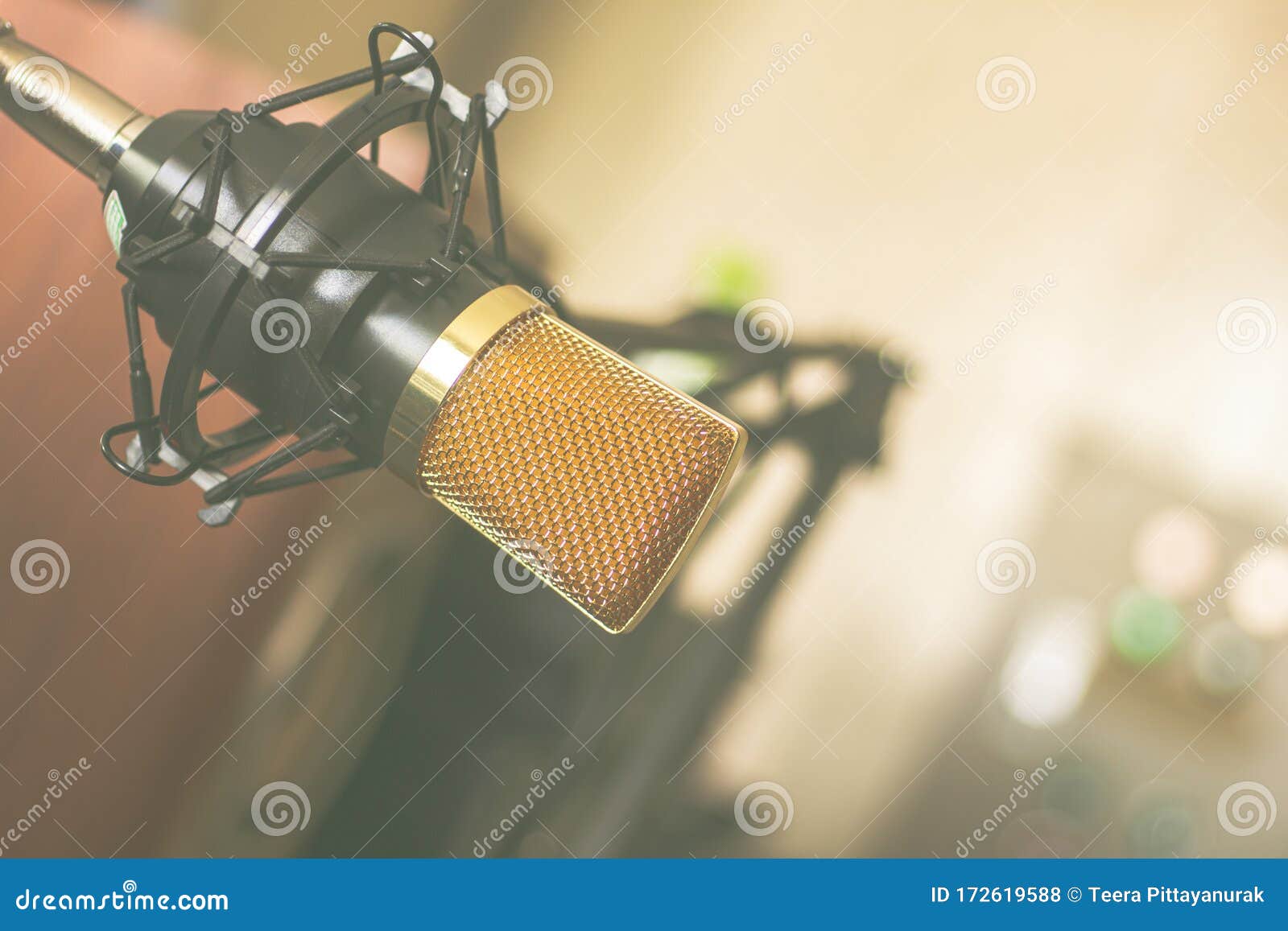 Condenser Microphone on a Stand Attached To a Table in a Professional ...