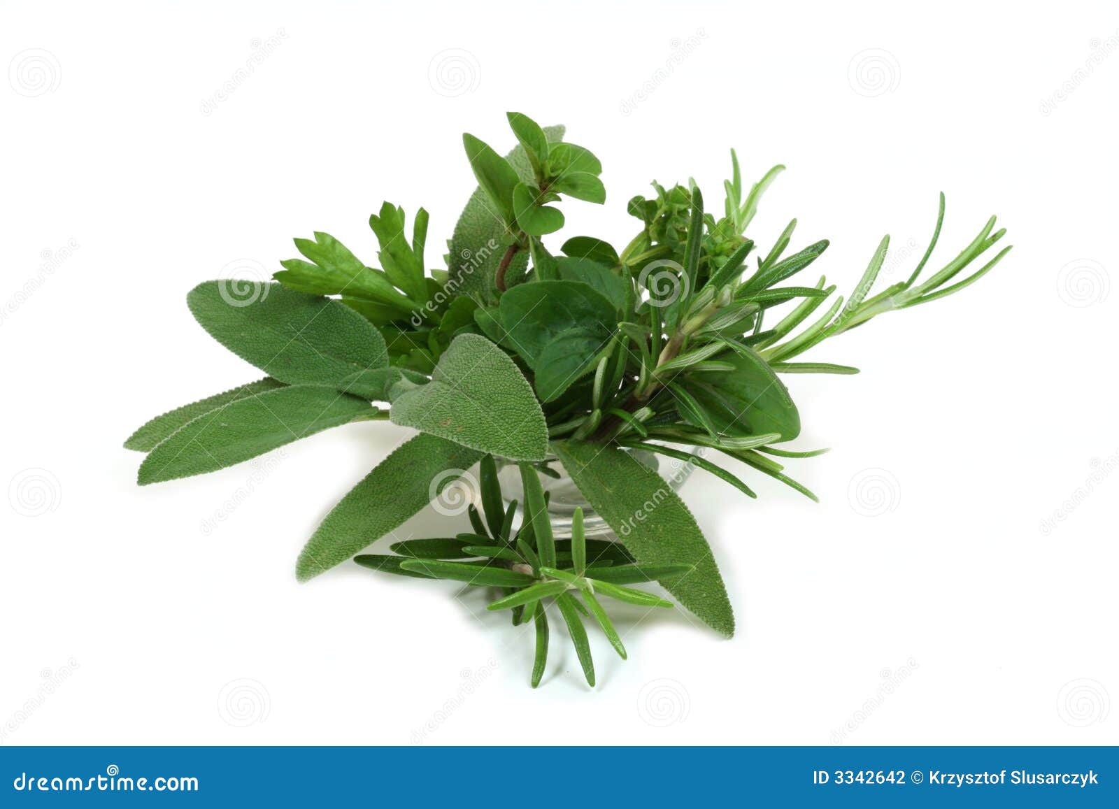 Condimento verde foto de archivo. Imagen de fresco, hierba - 3342642