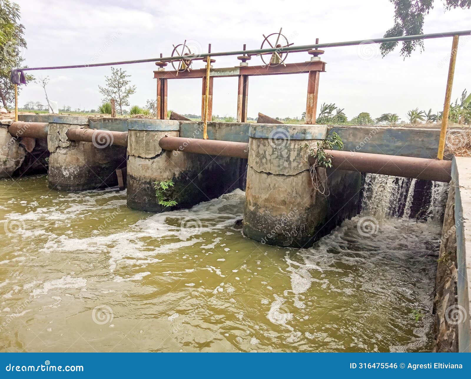 Irrigation Of Rice Fields Using Pump Wells With The Technique Of ...