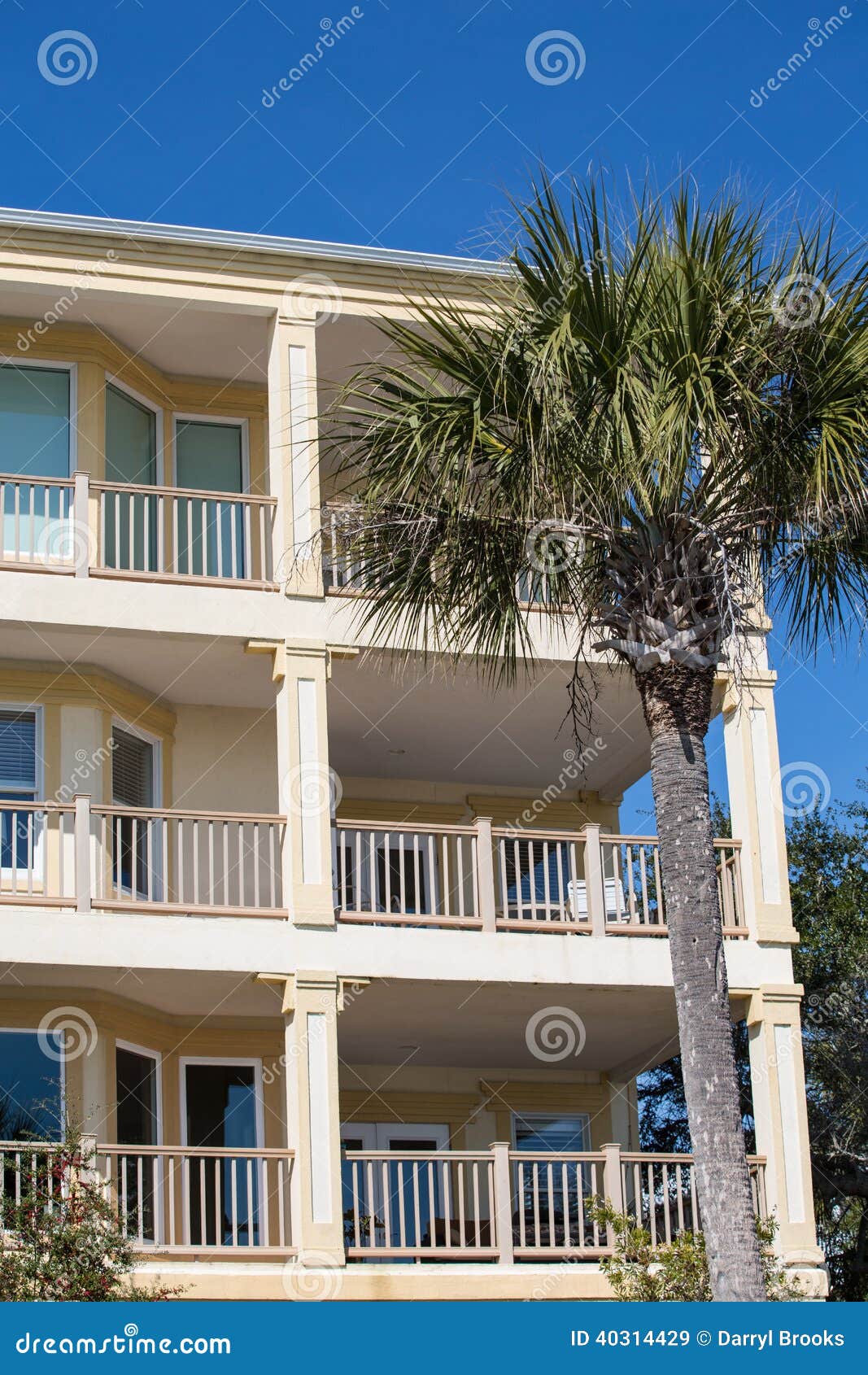 Condo Balconies and Palm Tree Stock Image - Image of property, luxury ...