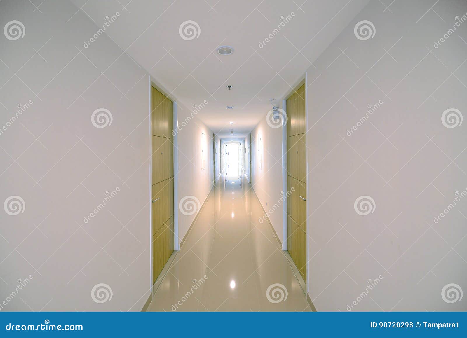 Condo Corridor with Wooden Doors in Condominium, Modern Design Stock ...