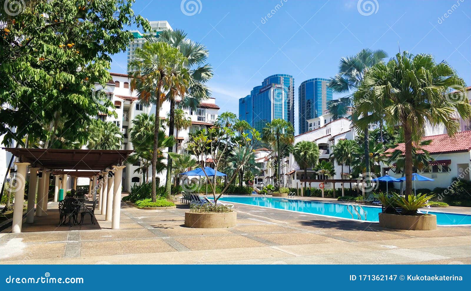 Condo Courtyard Pool on a Hot Summer Day Stock Image - Image of palm ...