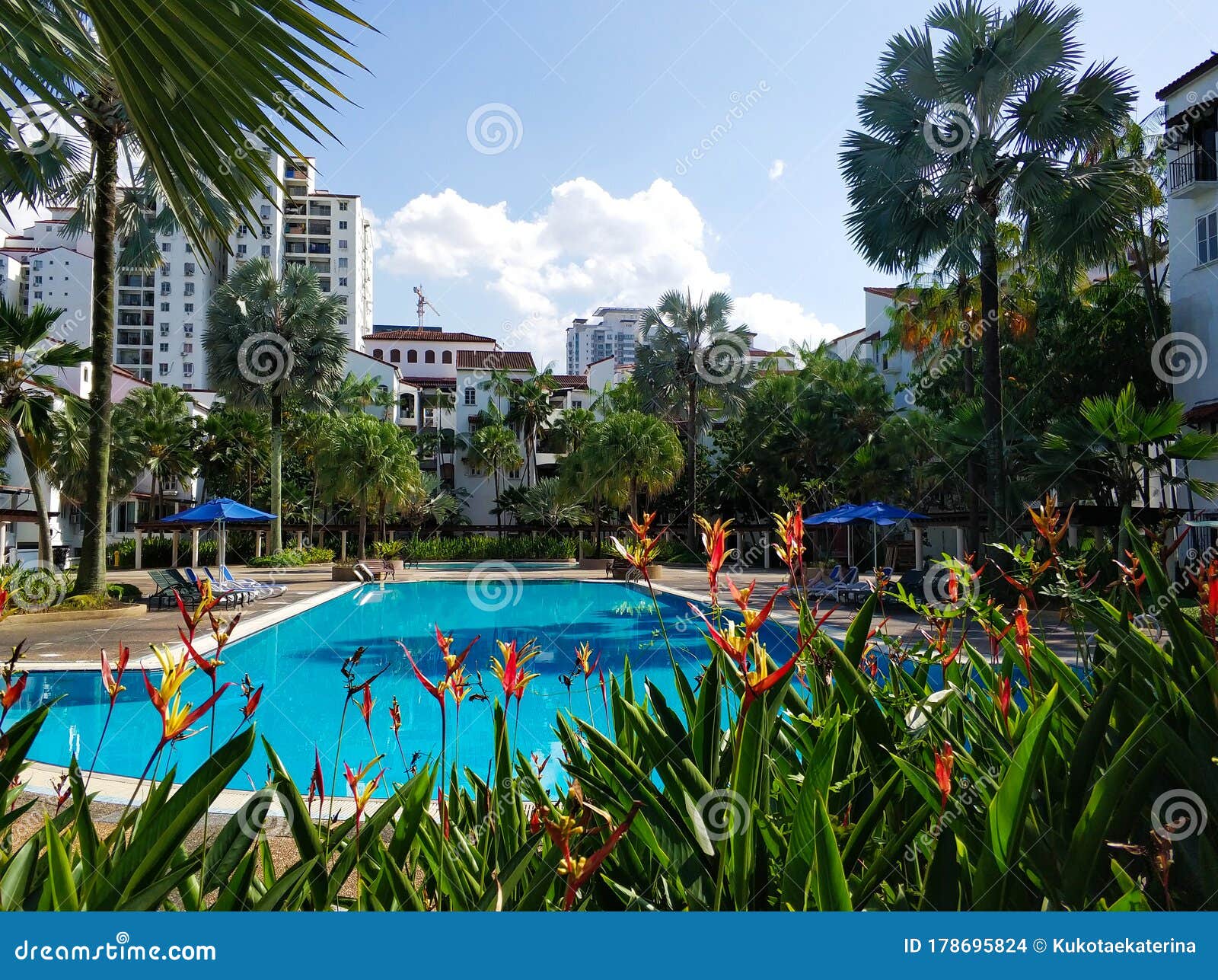 Condo Courtyard Pool on a Hot Summer Day Stock Photo - Image of luxury ...