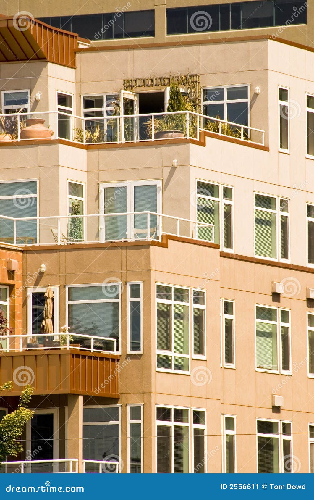 Condo Elevations stock image. Image of town, condo, outdoor - 2556611