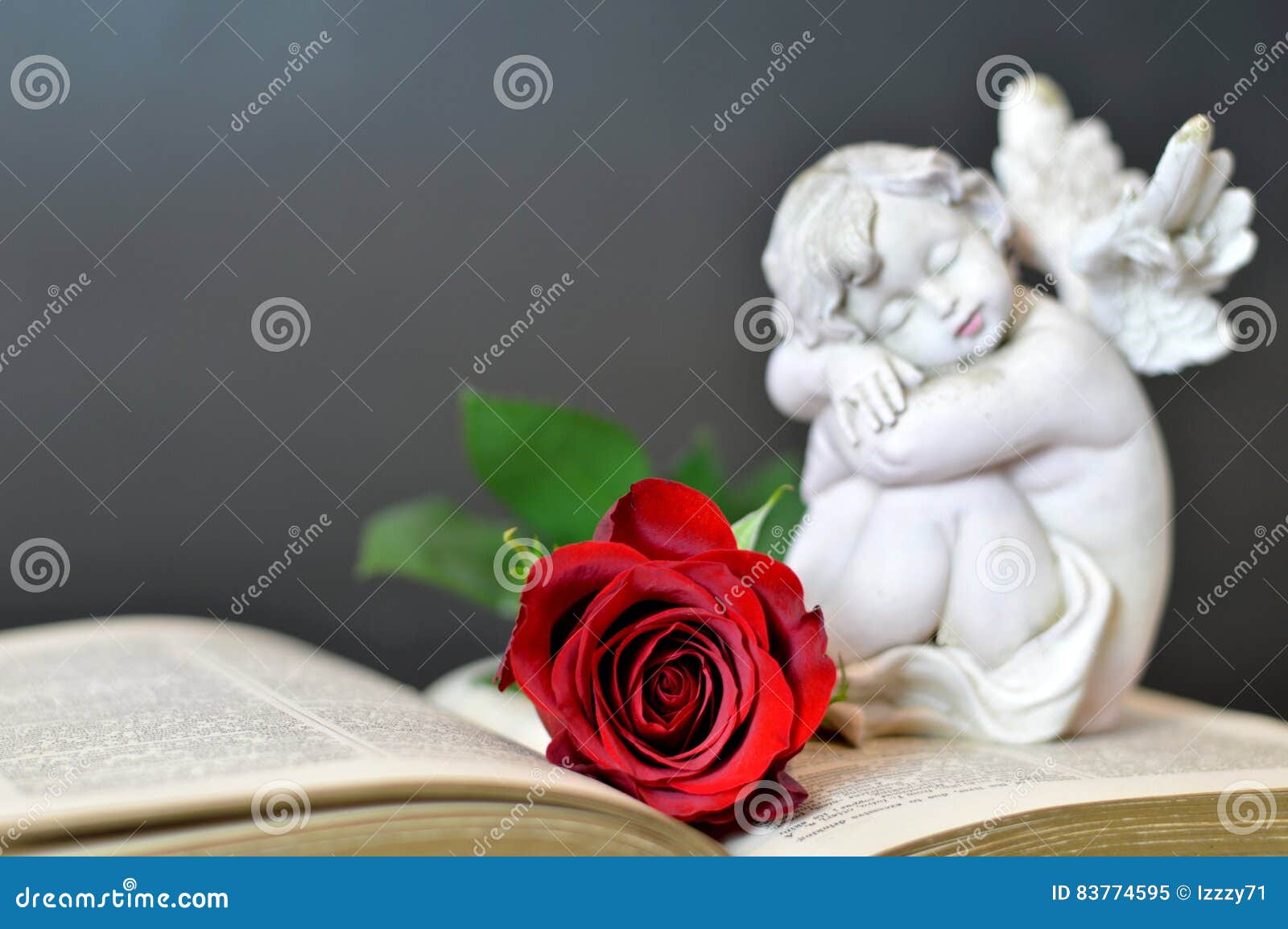 Condolence card stock image. Image of card, remembrance - 83774595