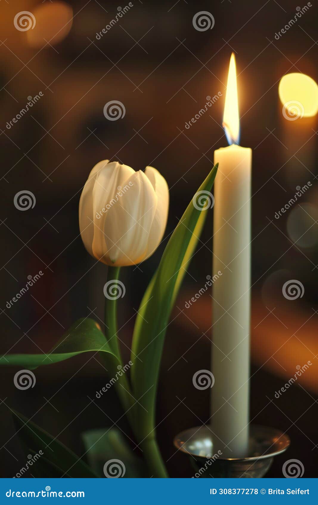 Condolence Card with Candle and a Tulip Flower Stock Illustration ...