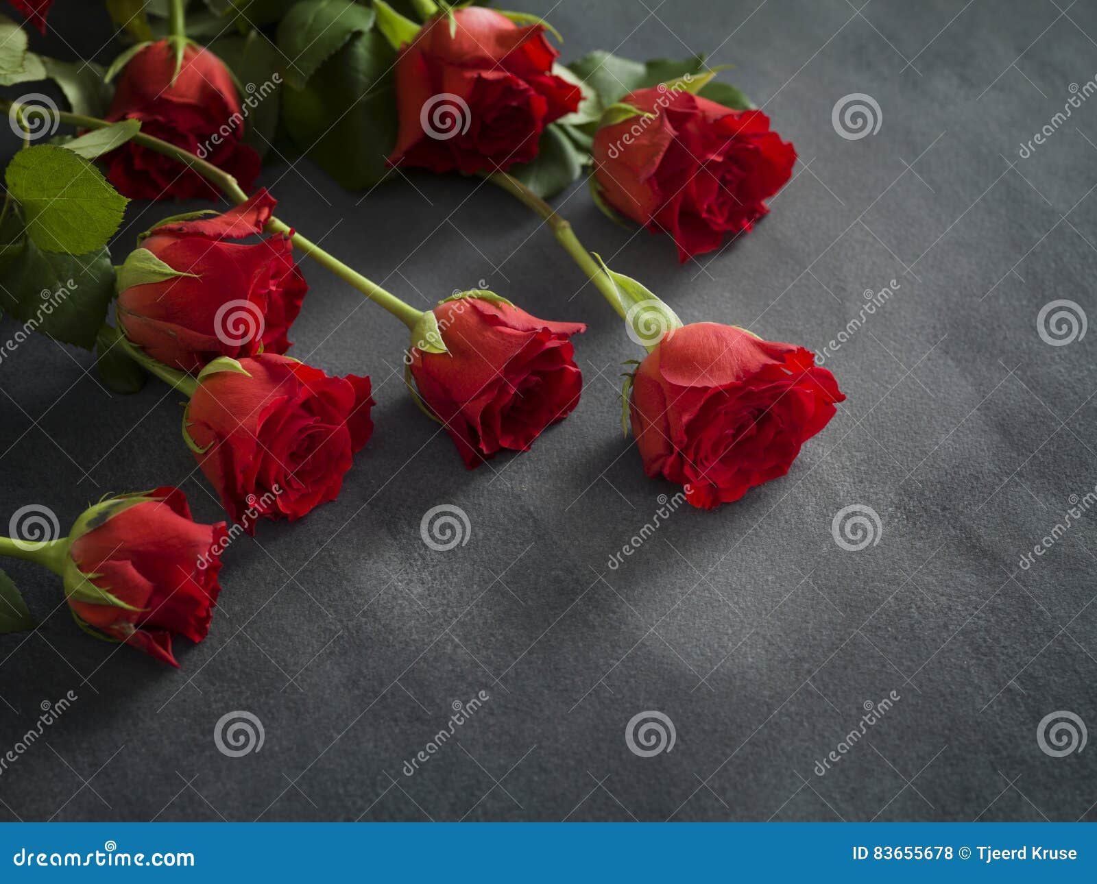 Condolence Card Red Roses Grey Background Photos - Free & Royalty-Free ...