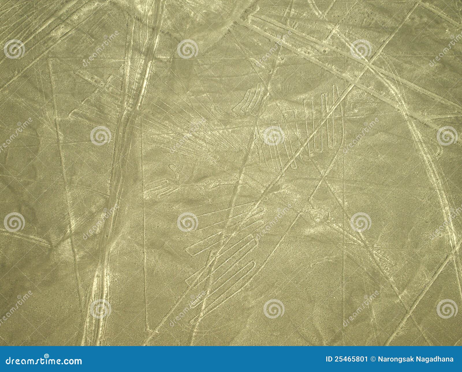 The Condor Line Of Nazca Lines Stock Image | CartoonDealer.com #25465801