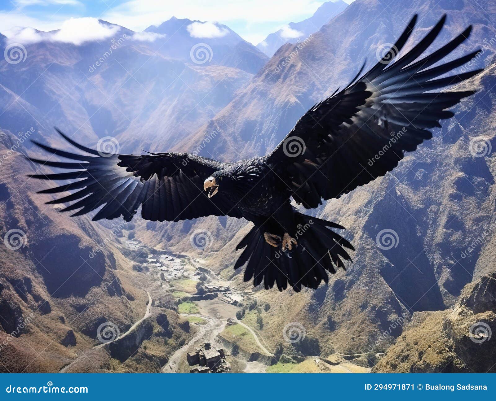 Flying Condor Over Colca South This Condor The Biggest Flying Bird ...