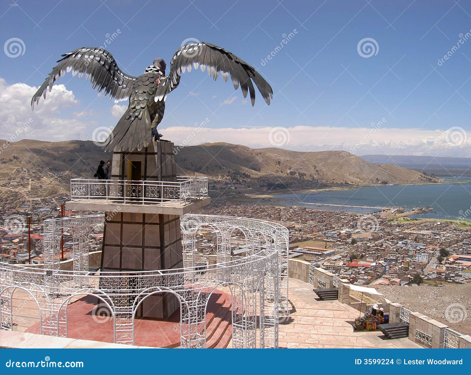 Condor over Puno stock photo. Image of island, titicaca - 3599224