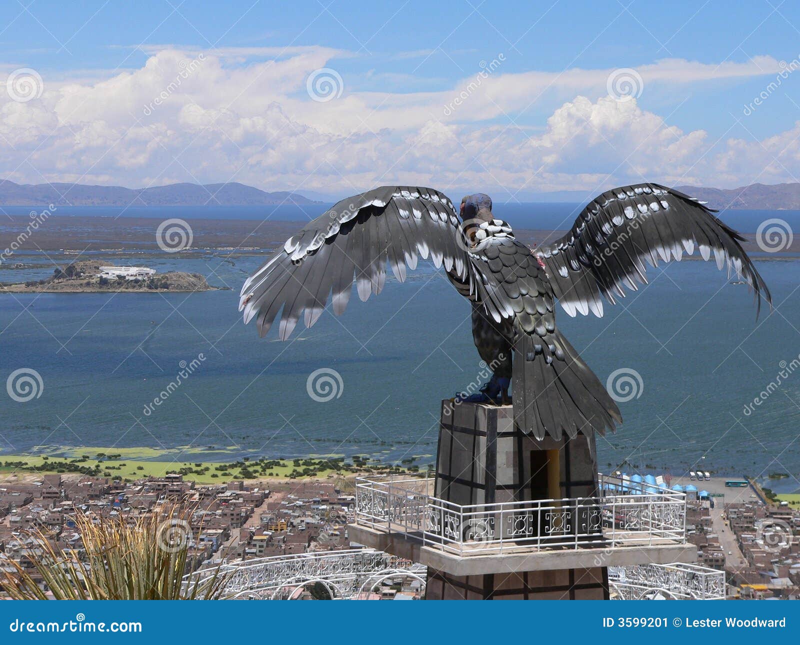 Condor s view over Puno stock image. Image of america - 3599201