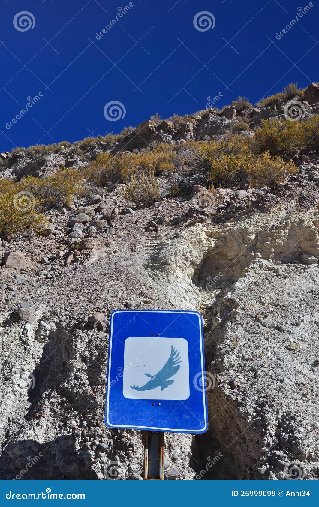 Condor sign in the atacama stock image. Image of desert - 25999099