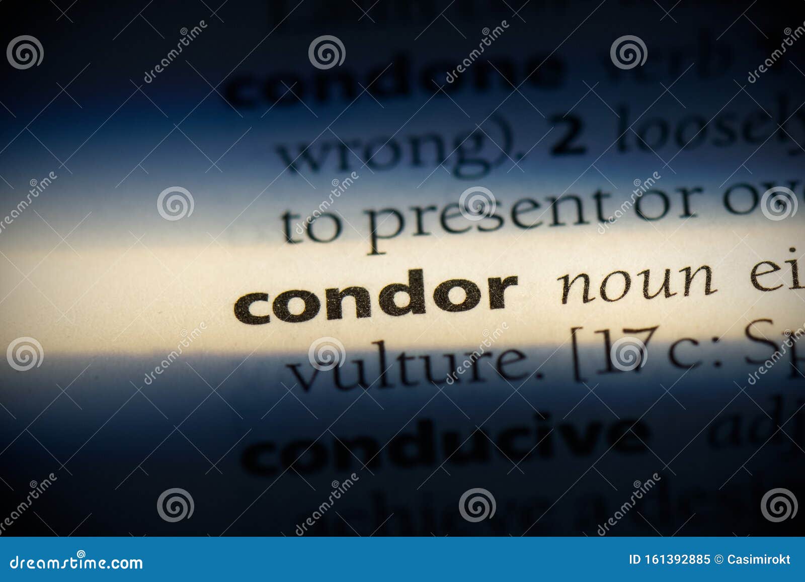 Condor stock image. Image of book, page, dictionary - 161392885