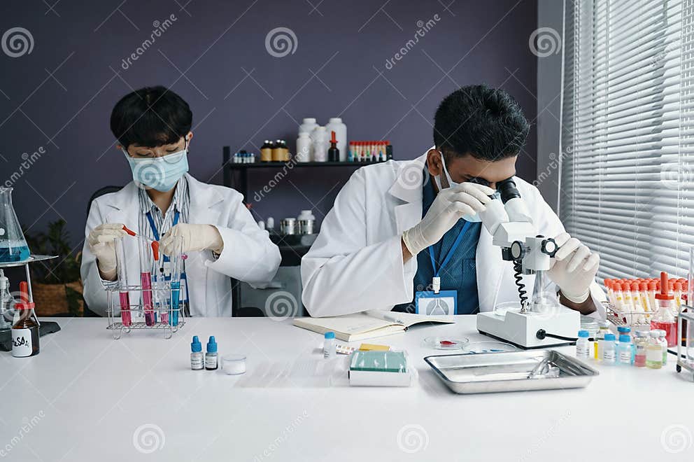 Conducting Scientific Experiments in Laboratory Setting Stock Image ...