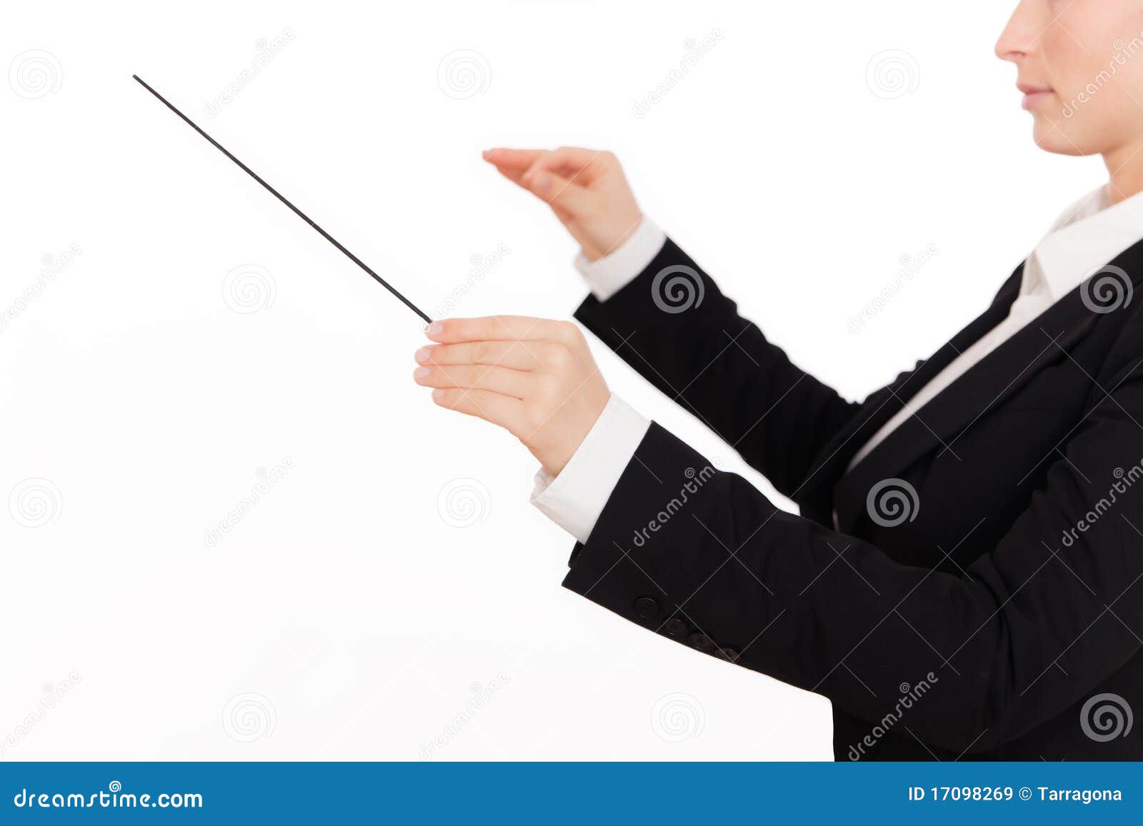 Conductor stock image. Image of classical, dark, male - 17098269