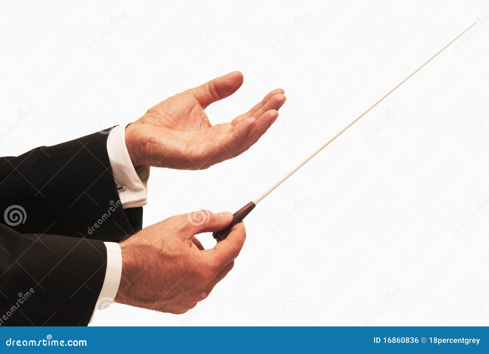 Conductor Conducting Orchestra Isolated White Background Stock Photos ...