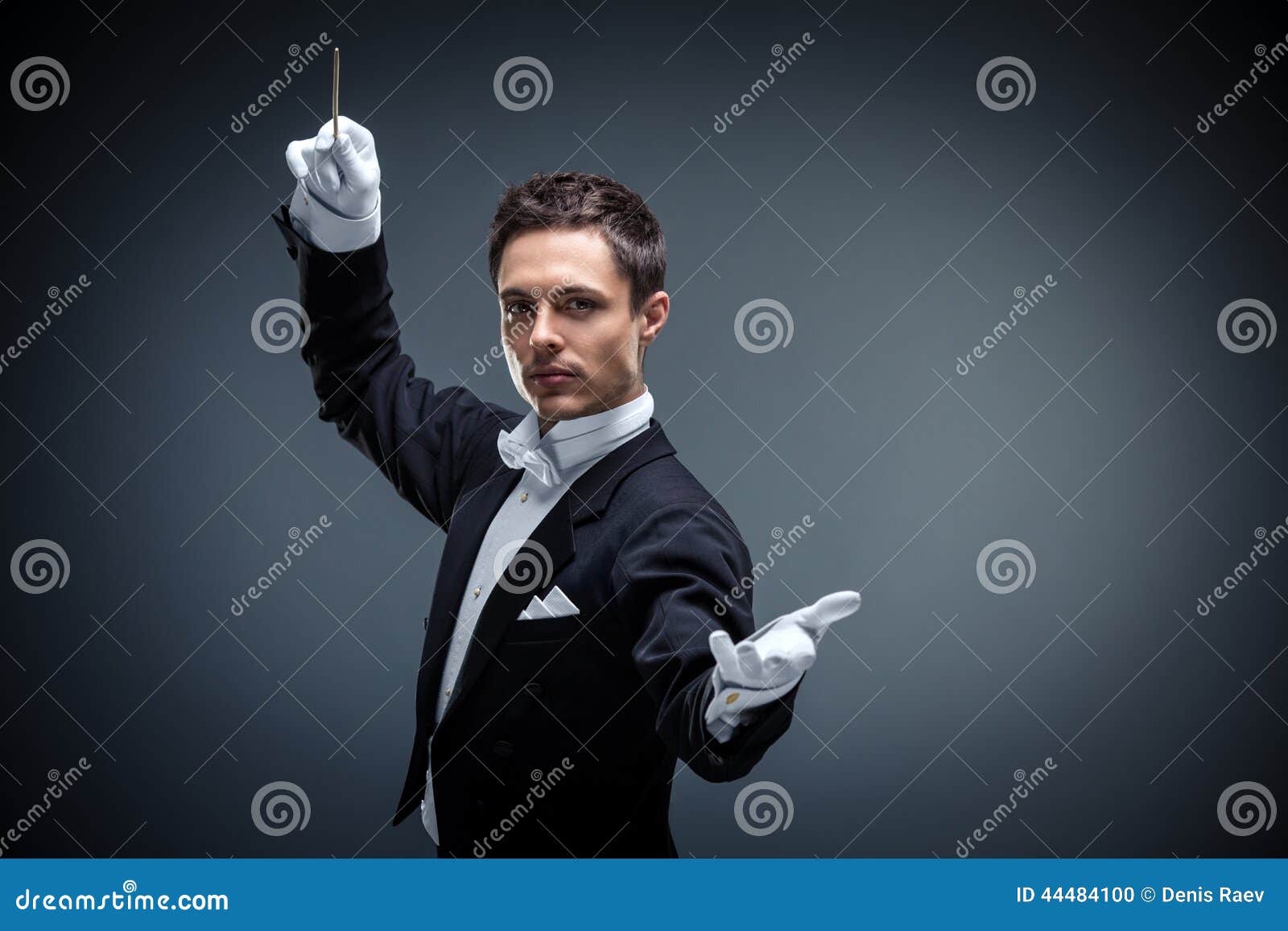Conductor stock photo. Image of music, caucasian, occupation - 44484100