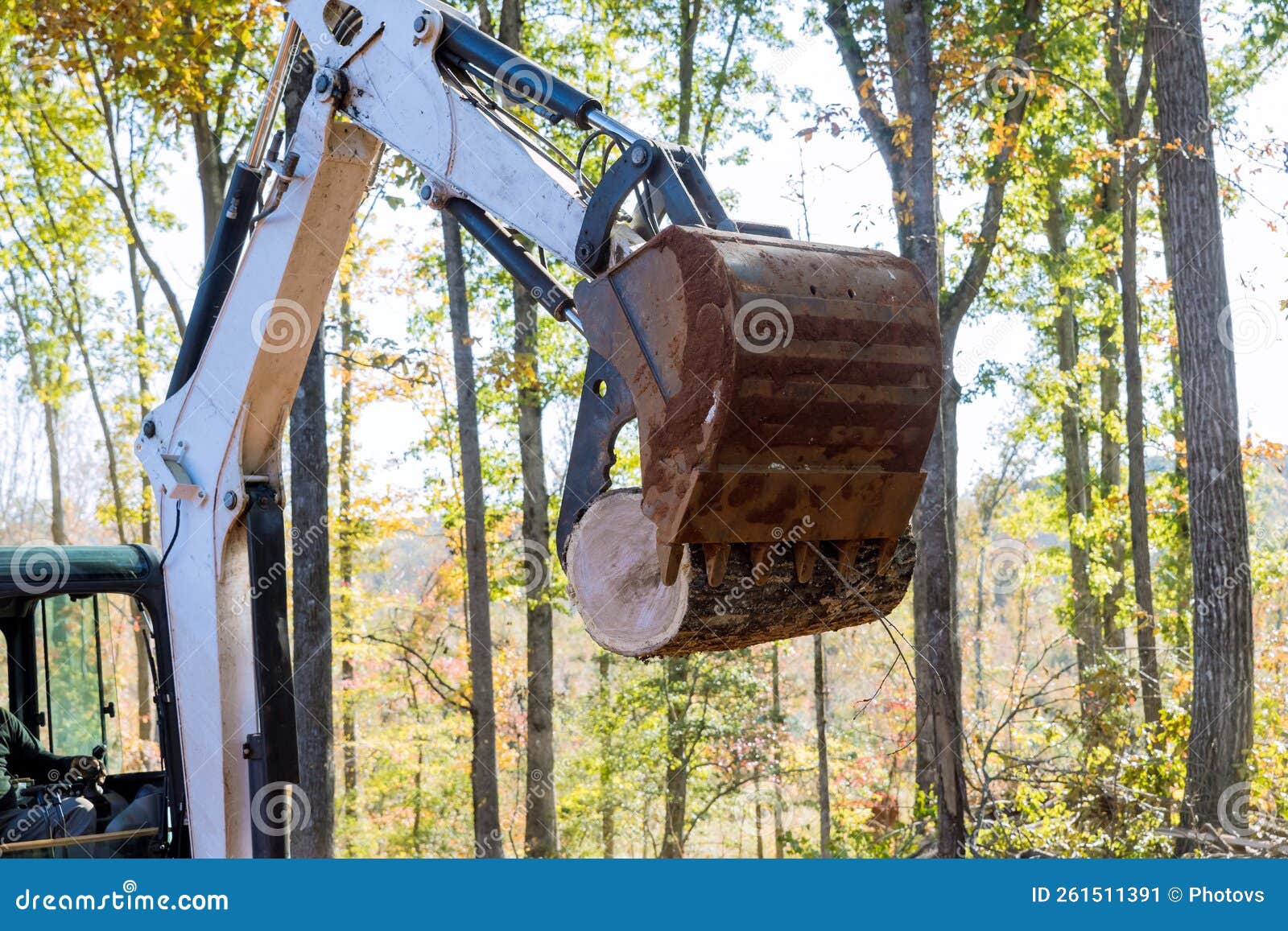 In the Conducts Work on Tractor Manipulator Lifts Logs of Process To ...