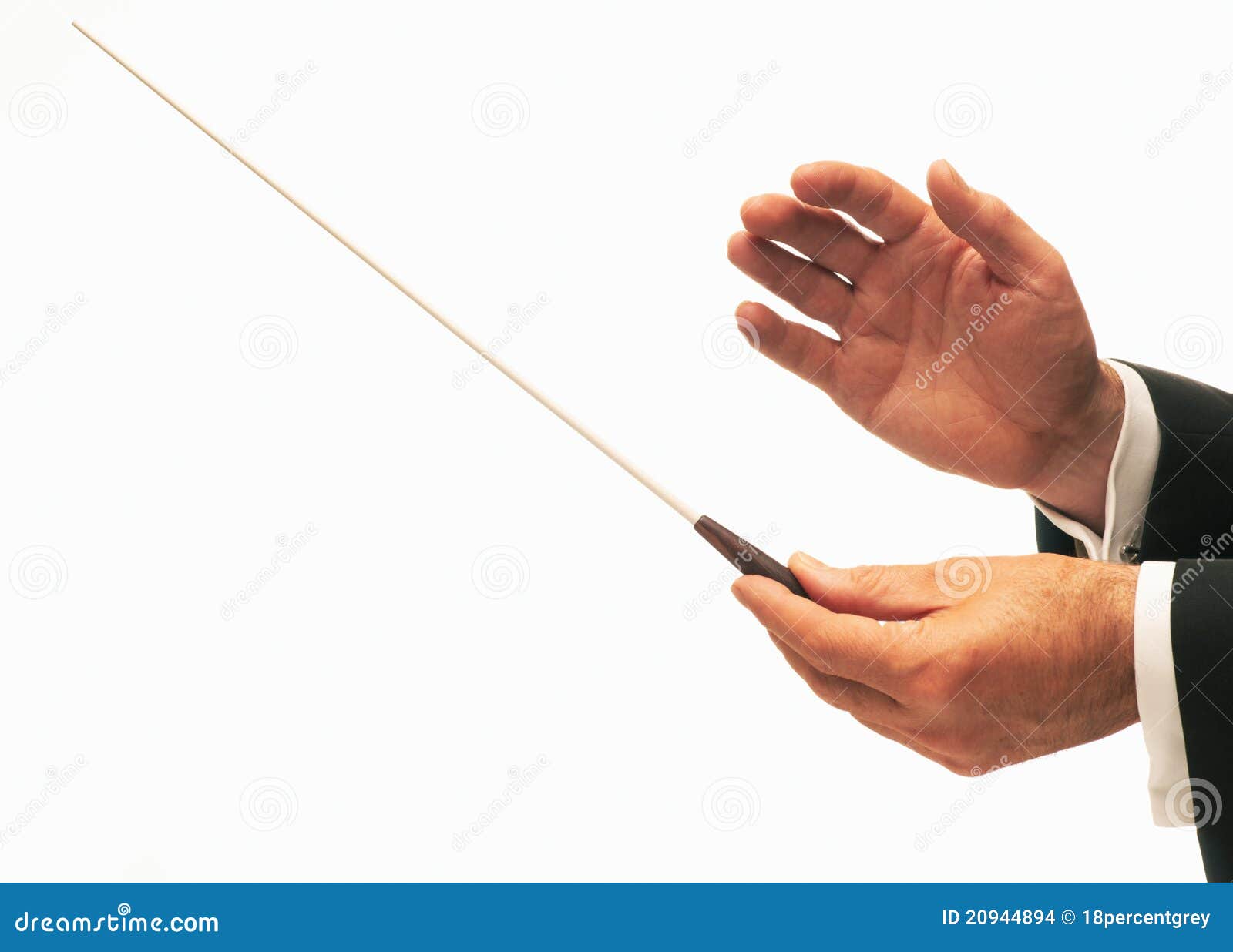 Conduttore Che Conduce Un'orchestra Fotografia Stock - Immagine di ...