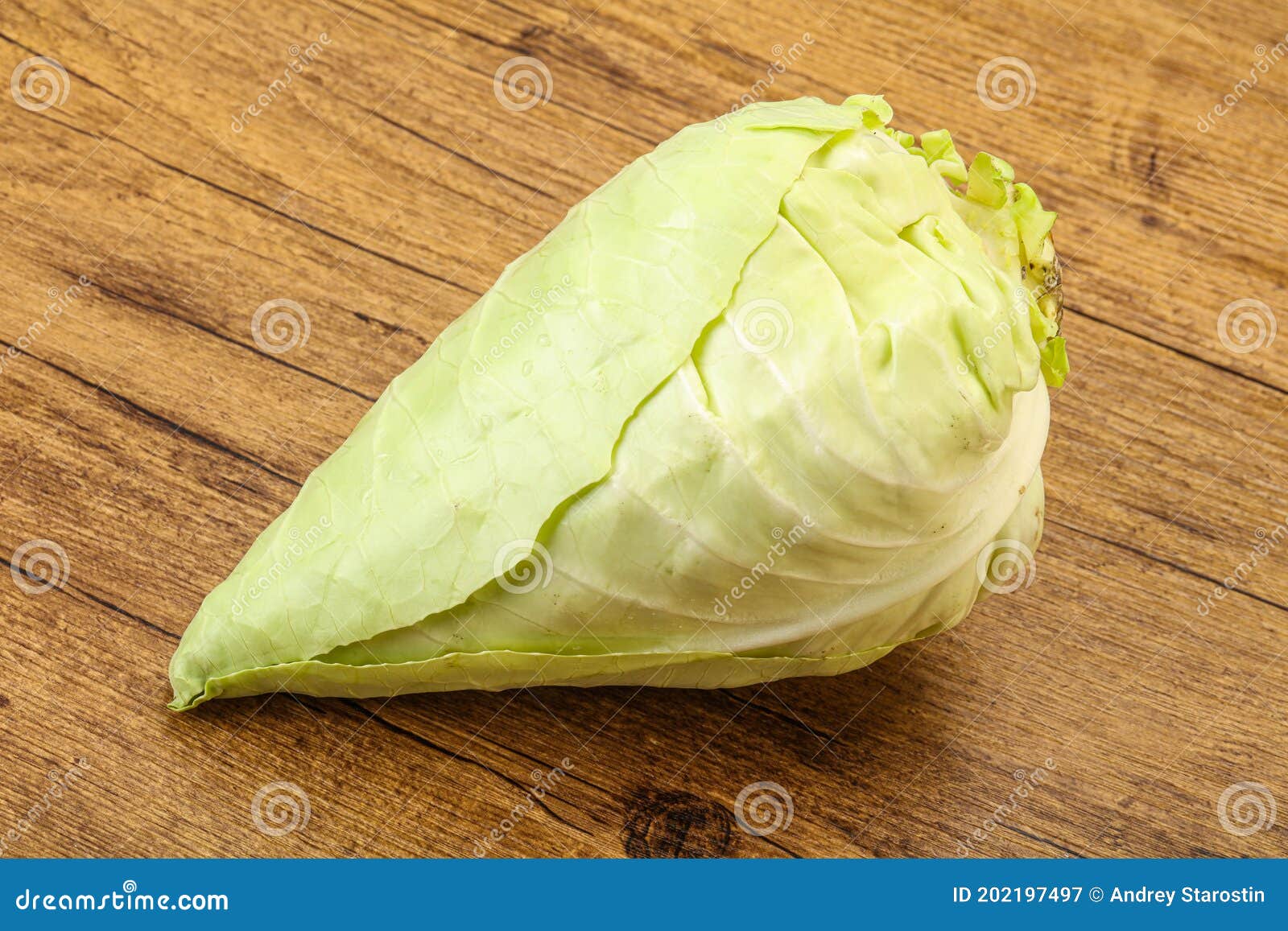 Cone Cabbage for Dietary Cuisine Stock Image - Image of brassica, white ...