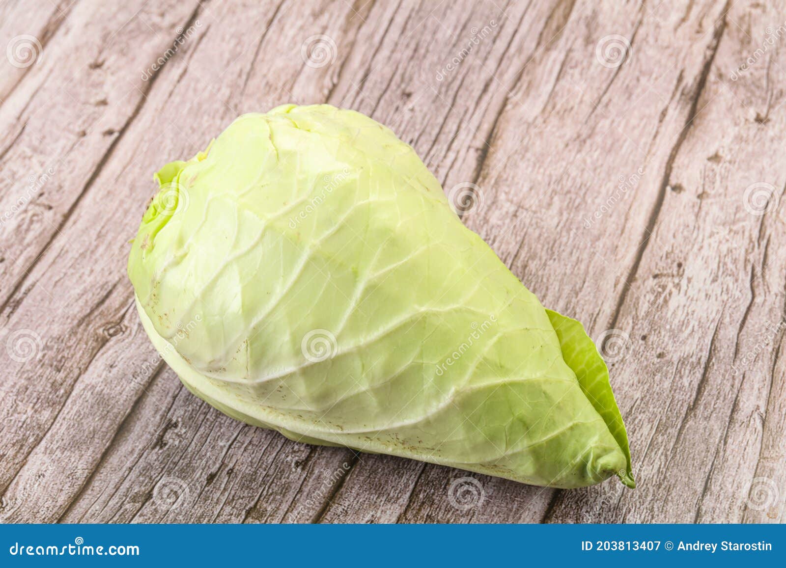 Cone Cabbage for Dietary Cuisine Stock Image - Image of head, salad ...