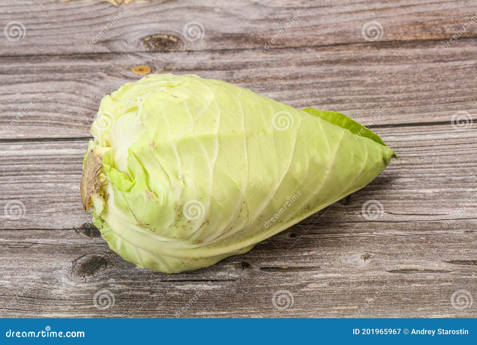 Cone Cabbage for Dietary Cuisine Stock Image - Image of vegetables ...