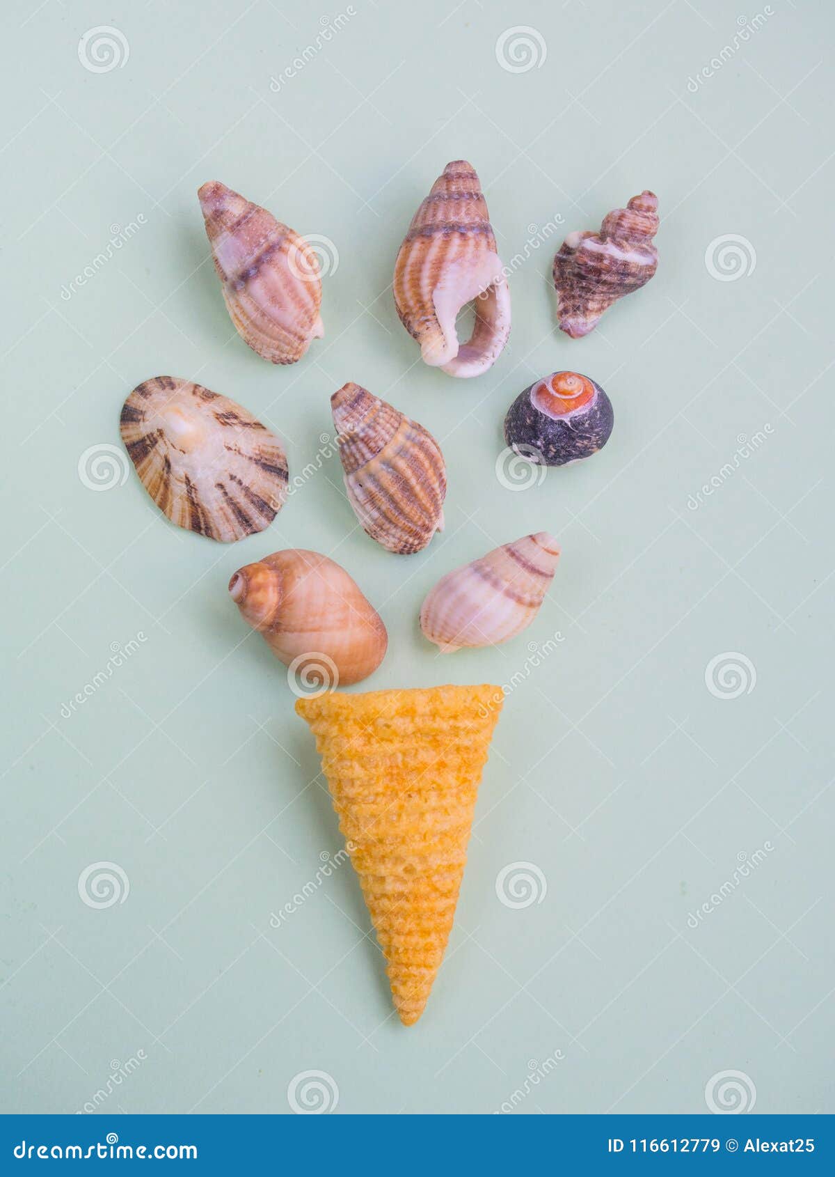 Cone Do Milho Com Conchas Do Mar Imagem de Stock - Imagem de calorias, verde: 116612779