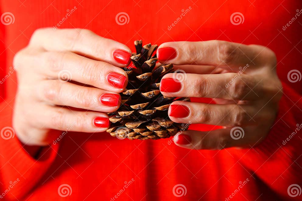 Cone in the Hands on a Red Background Stock Photo - Image of clenched ...