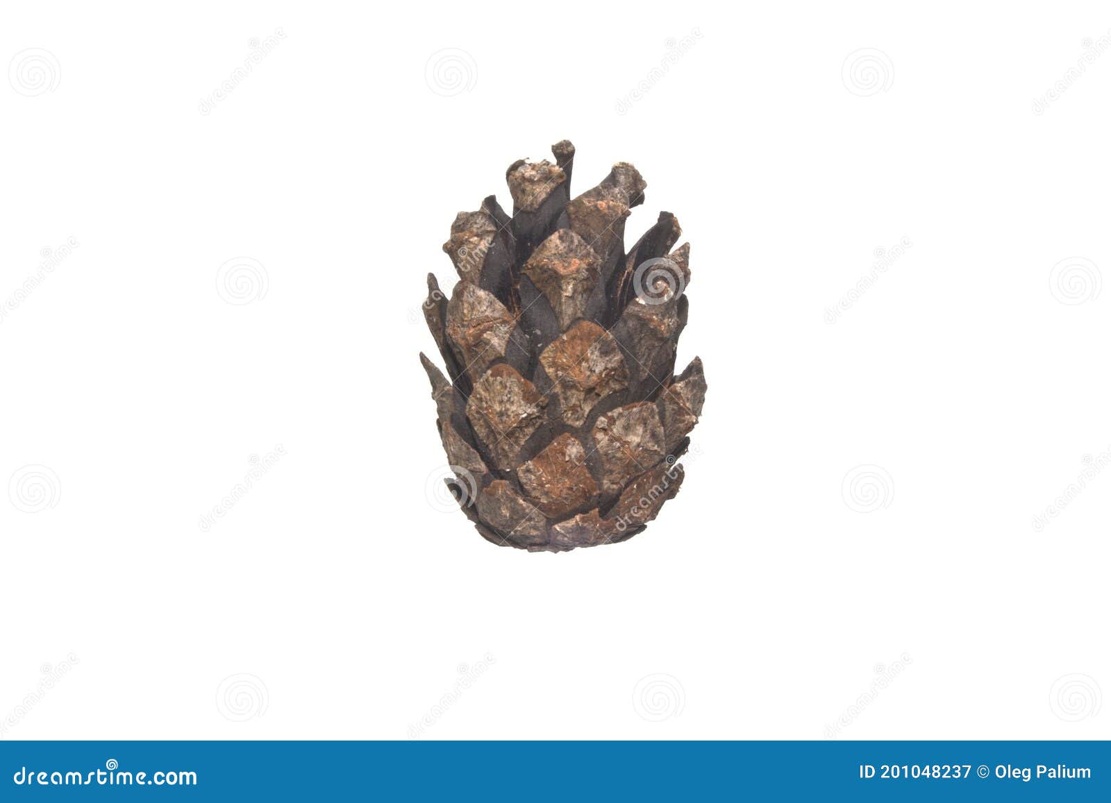 Cone Isolated on White Background Stock Image - Image of decoration ...