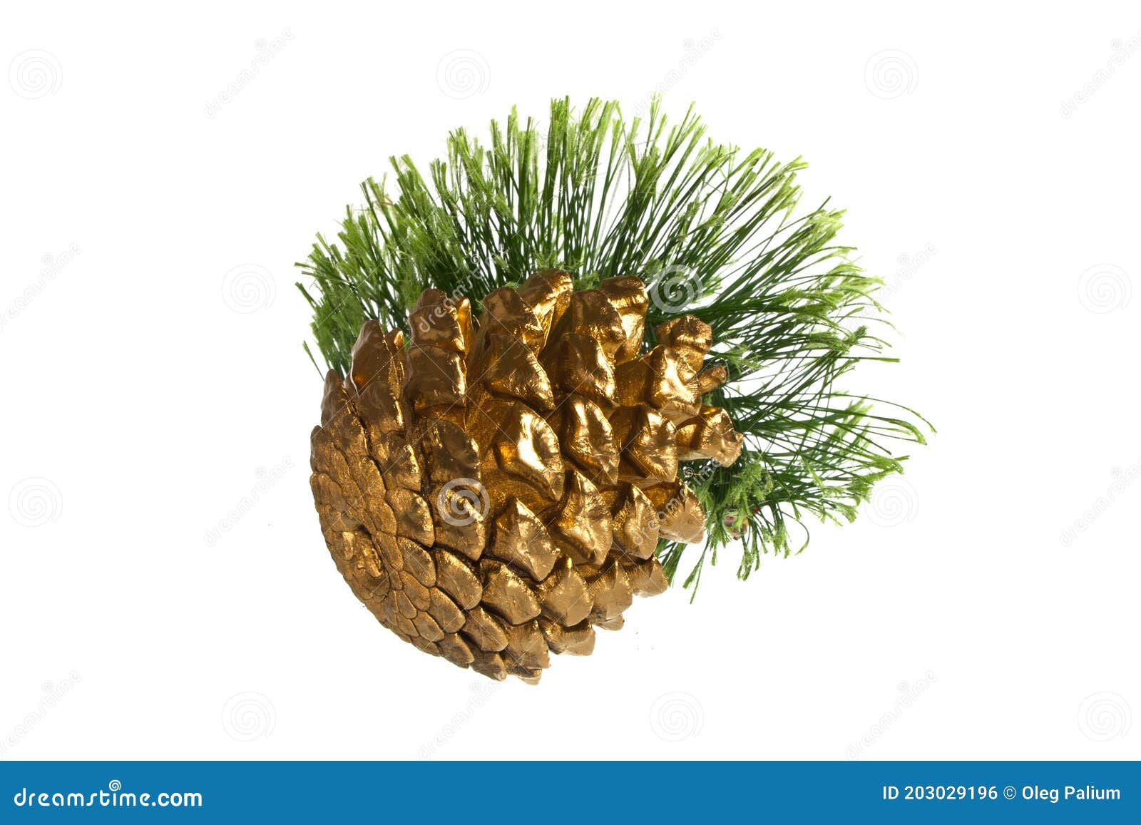 Cone Isolated on White Background Stock Photo - Image of cones, lush ...