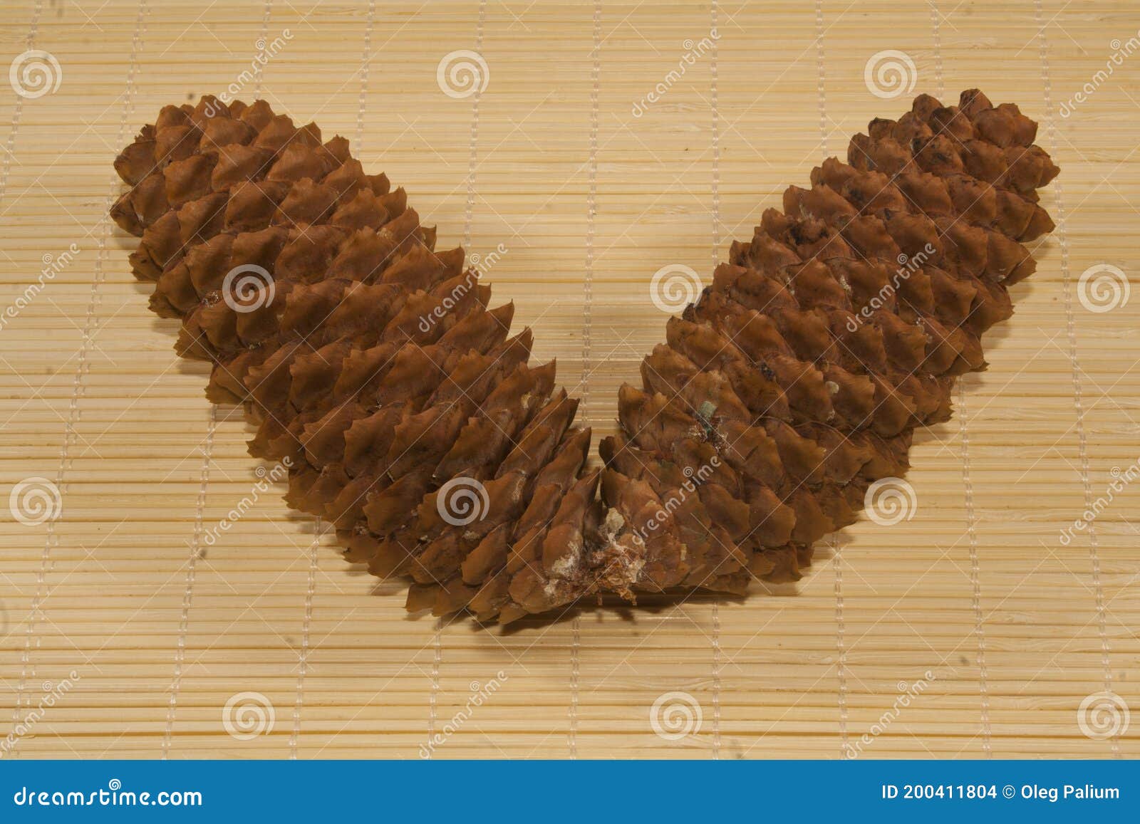 Cone Isolated on White Background Stock Photo - Image of paper, cone ...