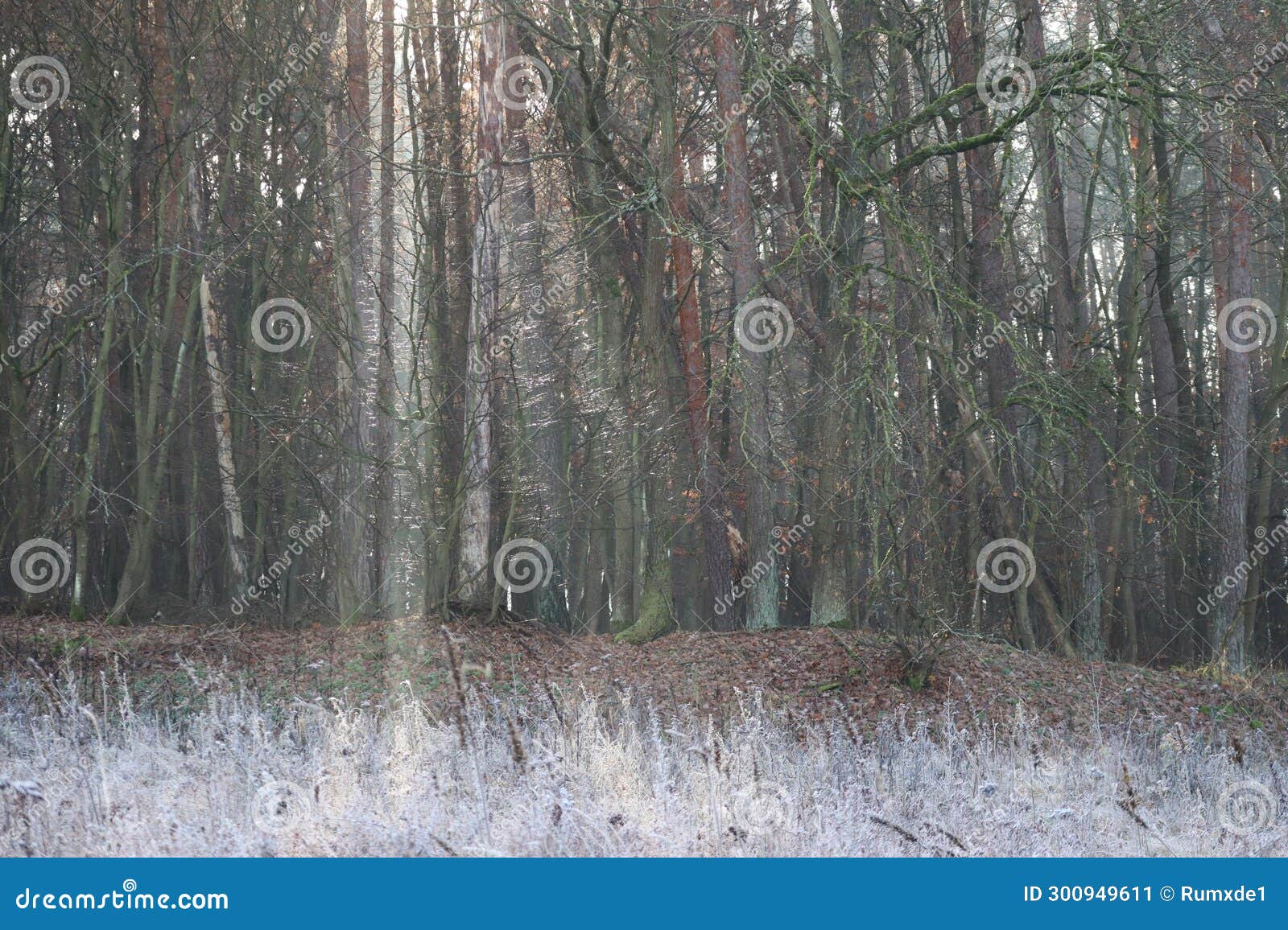 Cone of Light stock image. Image of brightly, moment - 300949611