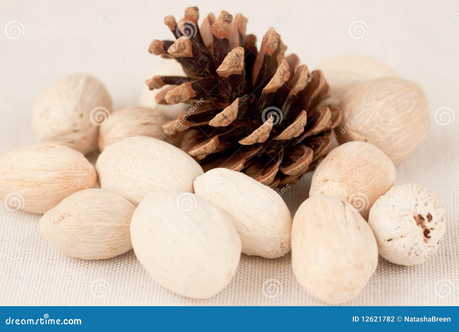Cone and nuts stock photo. Image of seasons, love, home - 12621782