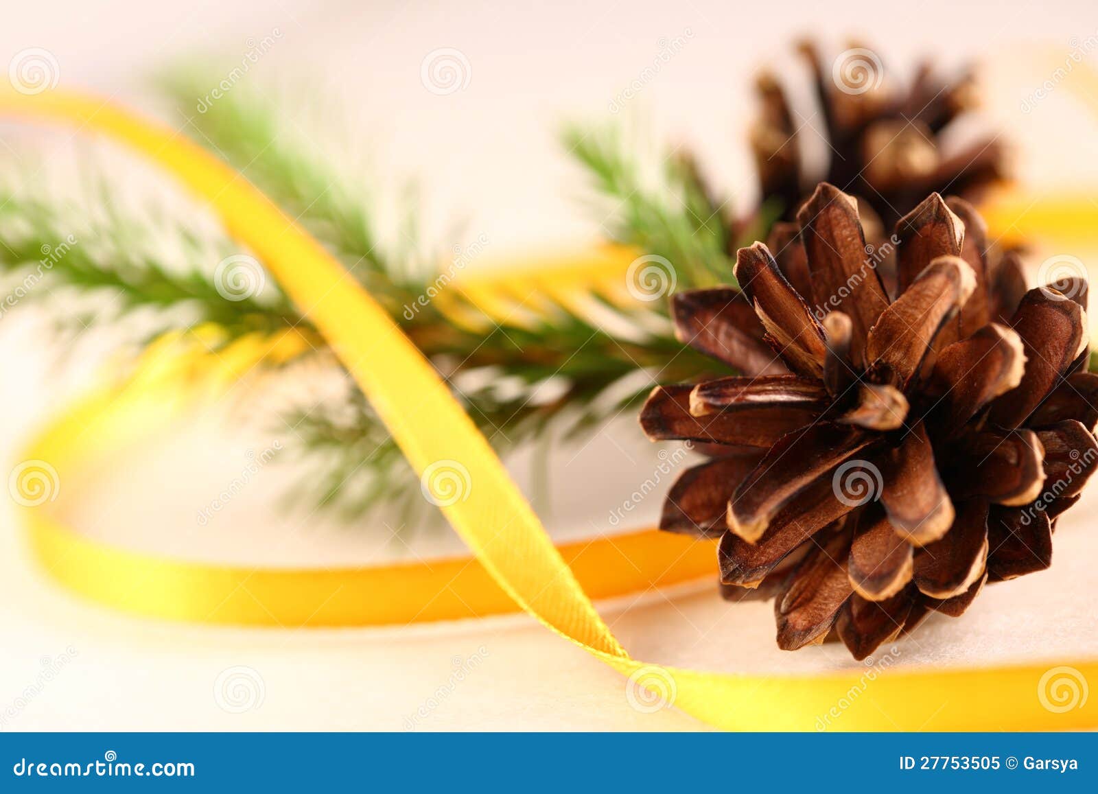 Cone with ribbon stock image. Image of decorate, coniferous - 27753505