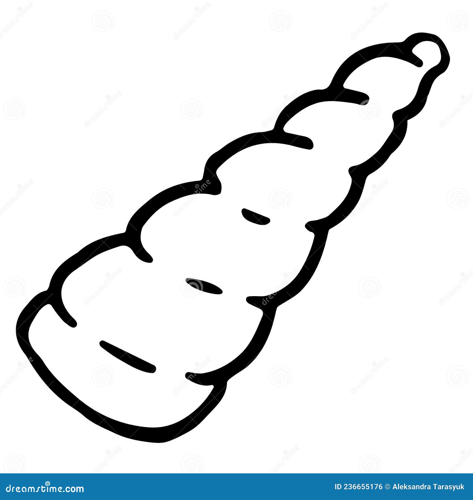 Cone Snails Shell In Doodle Style. Seashell Vector Illustration ...