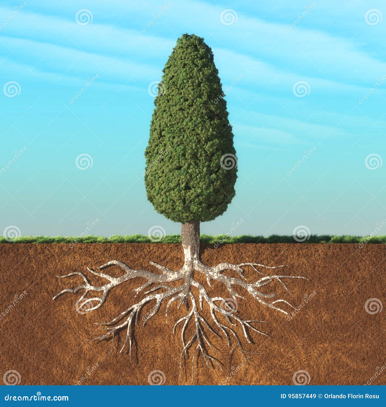 Cone tree with root. stock illustration. Illustration of earth - 95857449