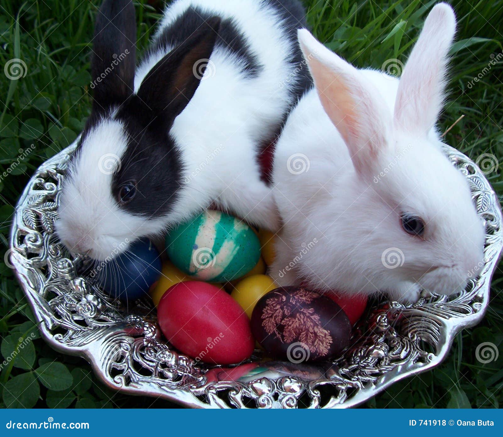 Conejitos de pascua foto de archivo. Imagen de vacaciones - 741918
