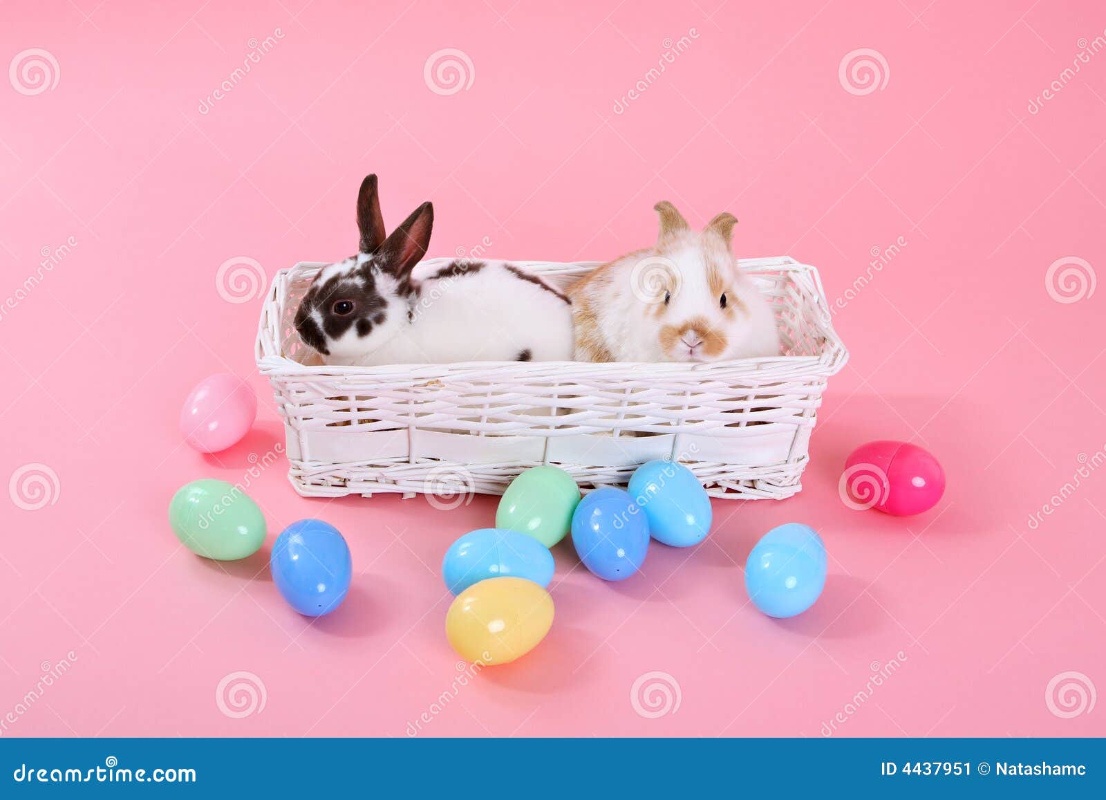 Conejitos en color de rosa imagen de archivo. Imagen de conejos - 4437951