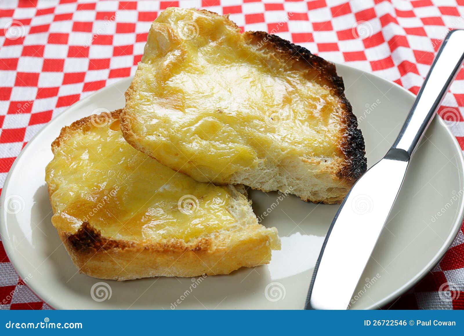 Conejo y cuchillo Galés foto de archivo. Imagen de galés - 26722546