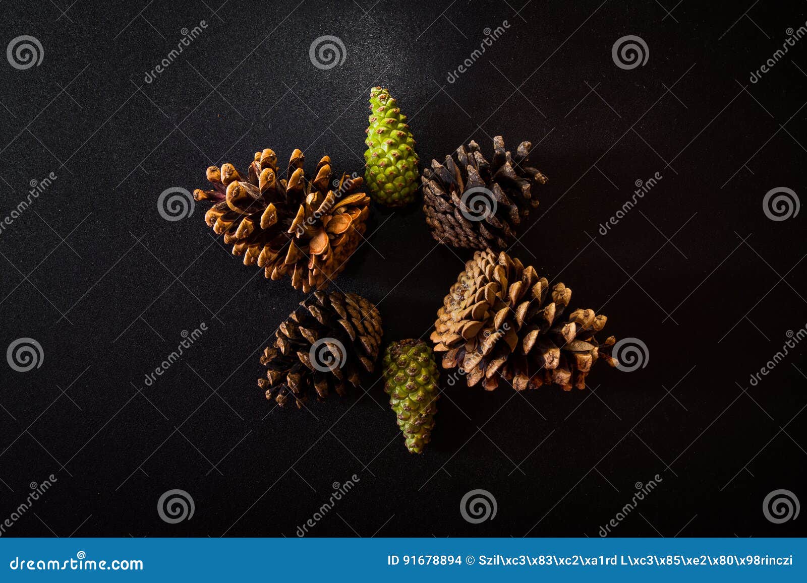 Cones collection stock photo. Image of background, cone - 91678894
