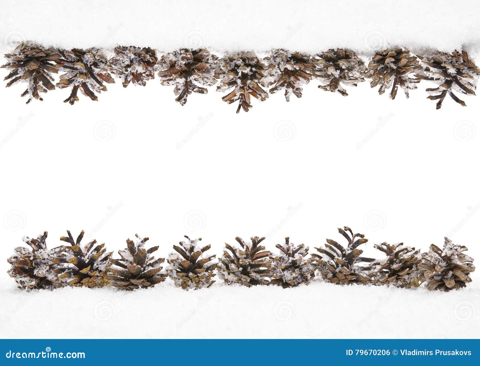 39,255 Cone Frame Pine Stock Photos - Free & Royalty-Free Stock Photos ...