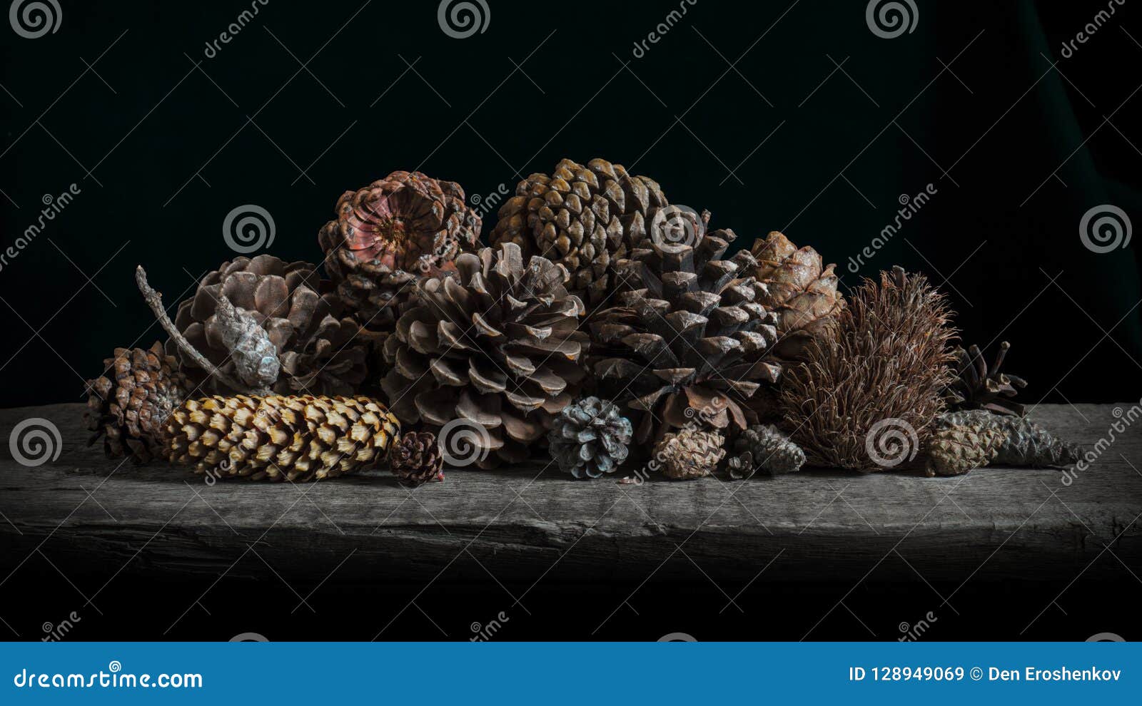 Cones Still Life Photography Stock Image - Image of brown, composed ...
