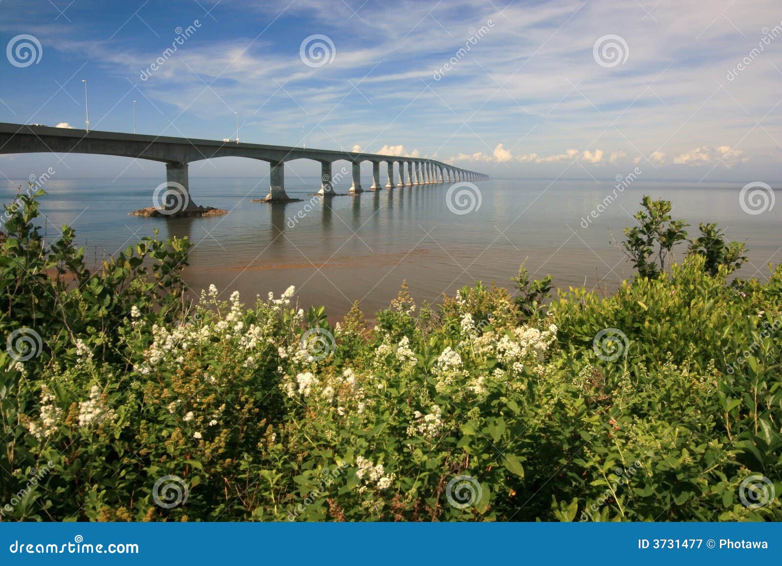 Confederation Bridge stock image. Image of concrete, structure - 3731477