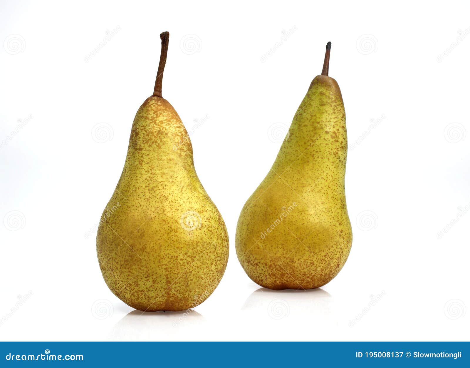 Conference Pear, Pyrus Communis, Against White Background Stock Image ...