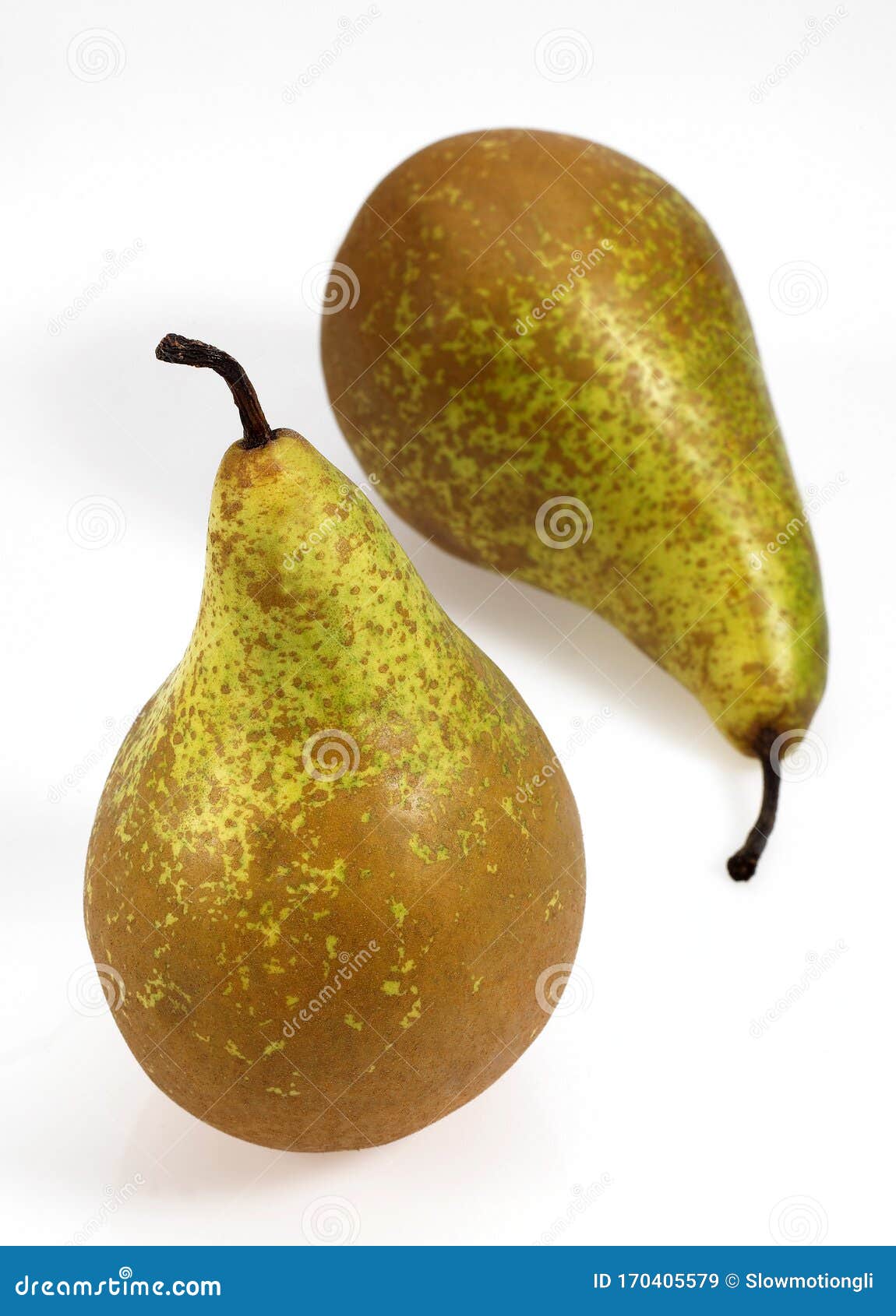 POIRE CONFERENCE stock image. Image of fruit, food, life - 170405579