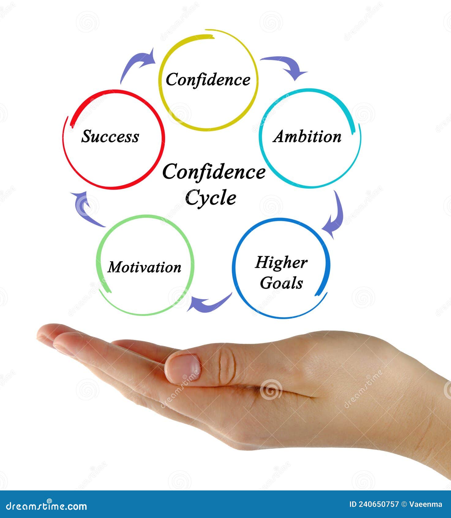 Confidence Cycle stock image. Image of higher, cycle - 240650757