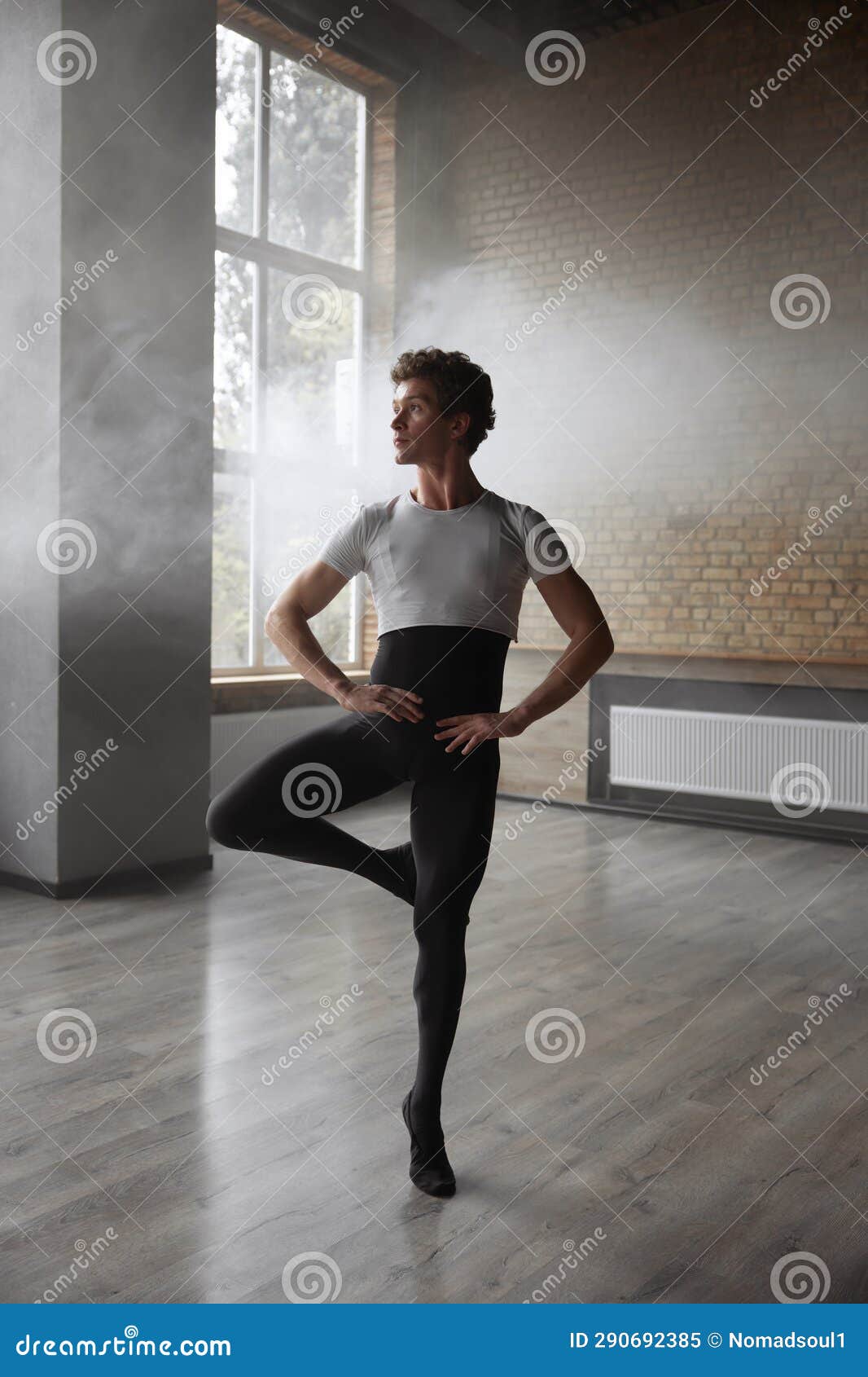 Confidence Male Ballet Dancer Practicing Alone in Studio Room Stock ...