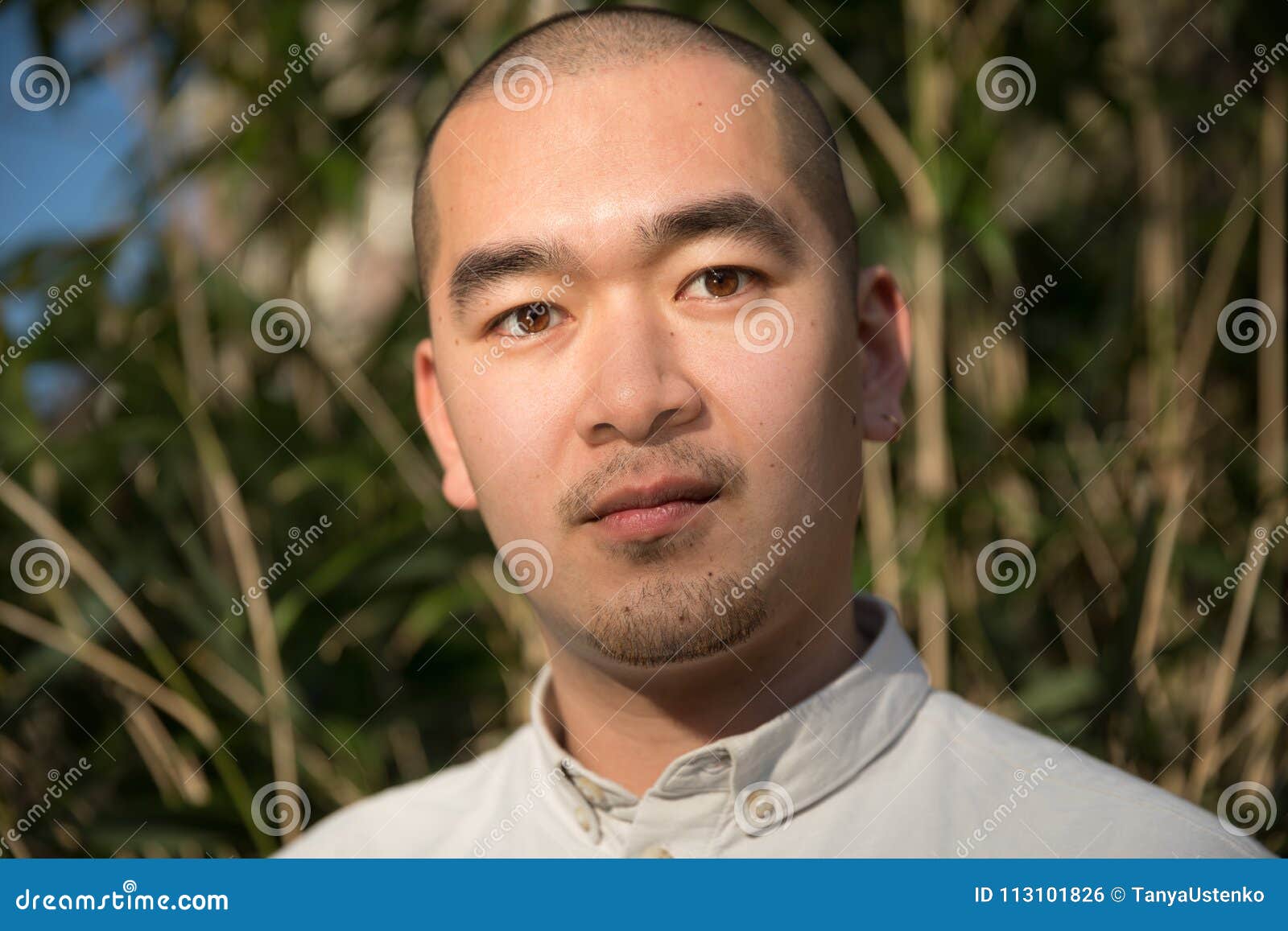 Confident Asian Man Looking at Camera Against Reed Background Stock ...